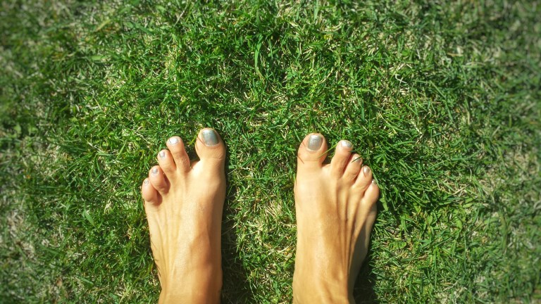 Grounding Your Way To Well-Being – Joyinabowl